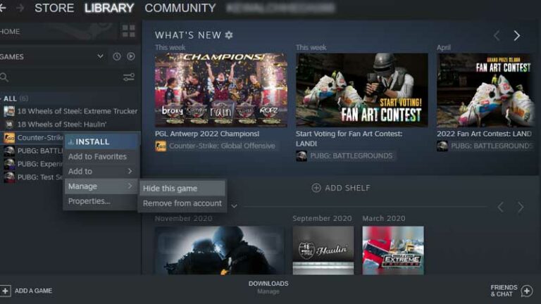 How to Hide or Remove Games from Steam Library (2022) - Technclub