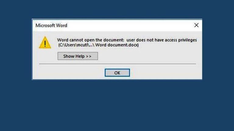 Fix: "Word User Does Not Have Access Privileges" Error (2023)