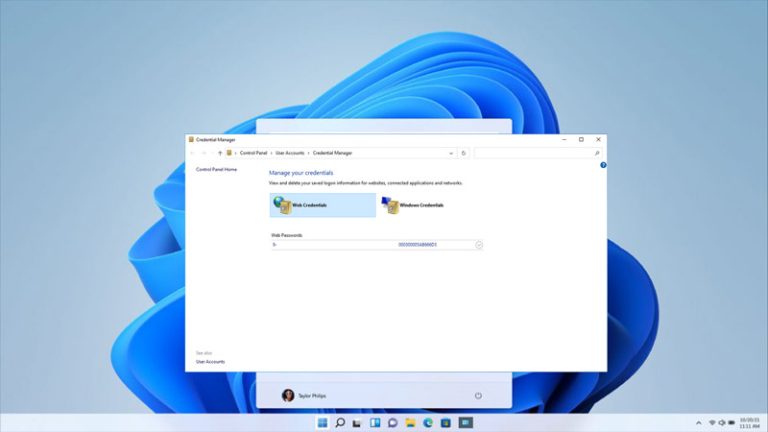 Windows 11: How to use Credential Manager (2023)
