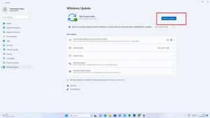 How To Fix Riot Client Not Launching In Windows?