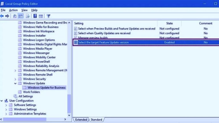 Guide To Specify Target Feature Update on Windows 10 (2023)